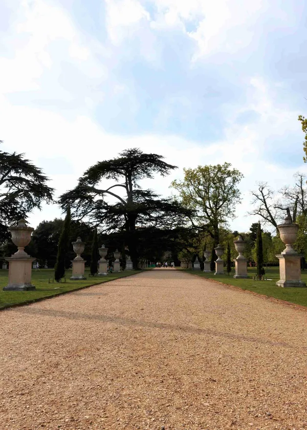 Chiswick Area Guide | Hamptons Estate Agents