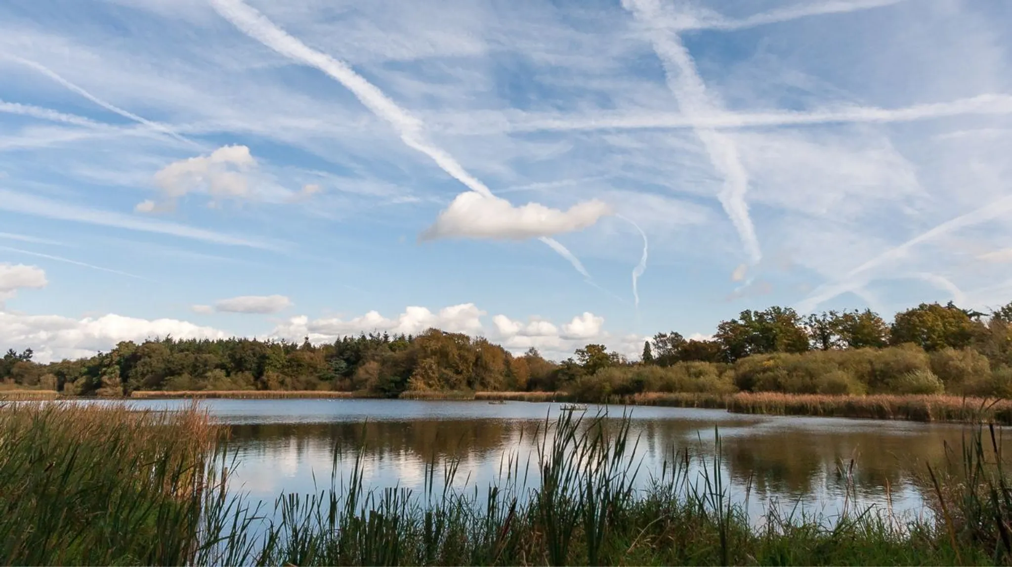 Horsham Area Guide | Hamptons Estate Agents
