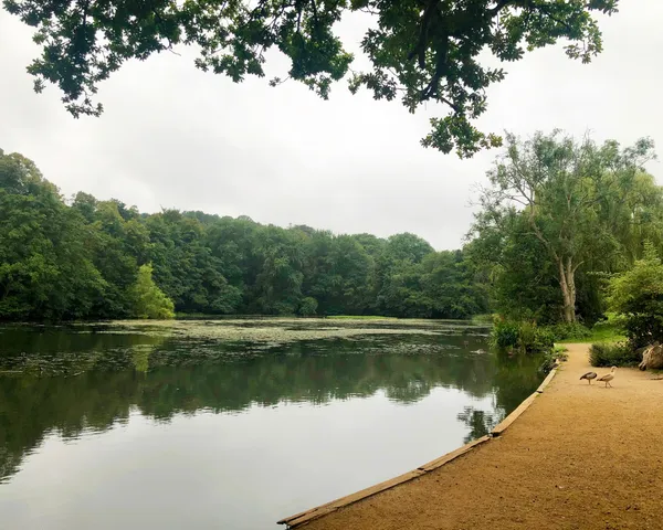 Jackson-Stops | Reigate Area Guide: Prestigious Surrey Town Living ...